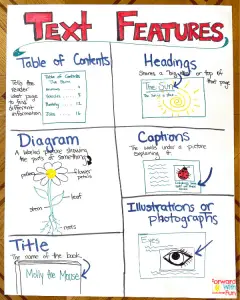 Your Complete Guide To Text Features in Kindergarten - Forward With Fun